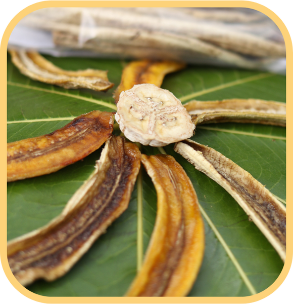 Bananes cavendish/banane dessert (bio) – Atelier Fruité